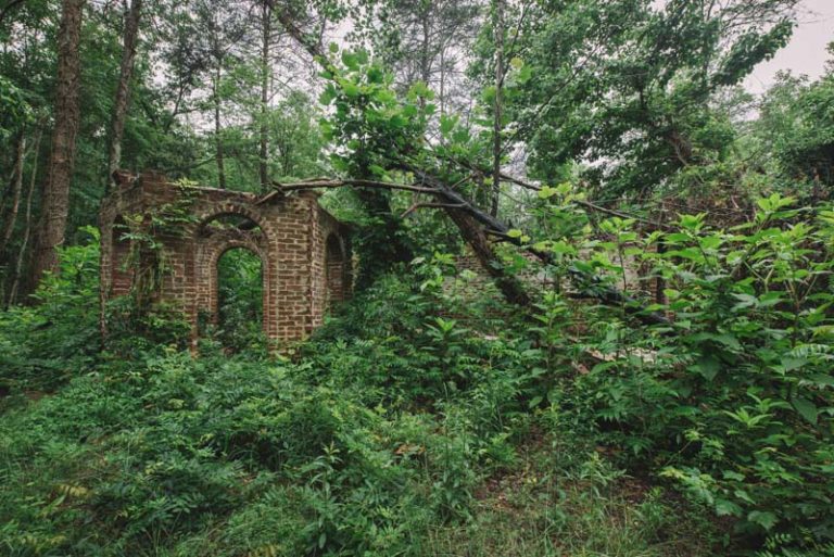 Corpsewood Manor - Autopsy of Architecture